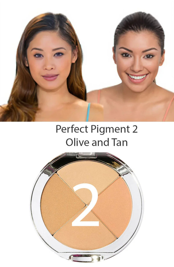 Perfect Pigment - The One Minute Miracle Makeup by Christina Cosmetics